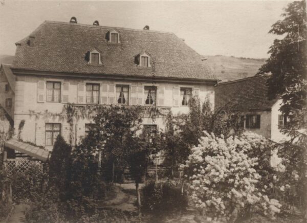 The birth - Maison Albert Schweitzer